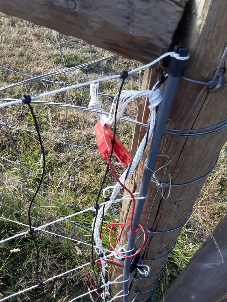 Electric Poultry Netting Kit…Is It Really Worth It? We Think So, But It ...