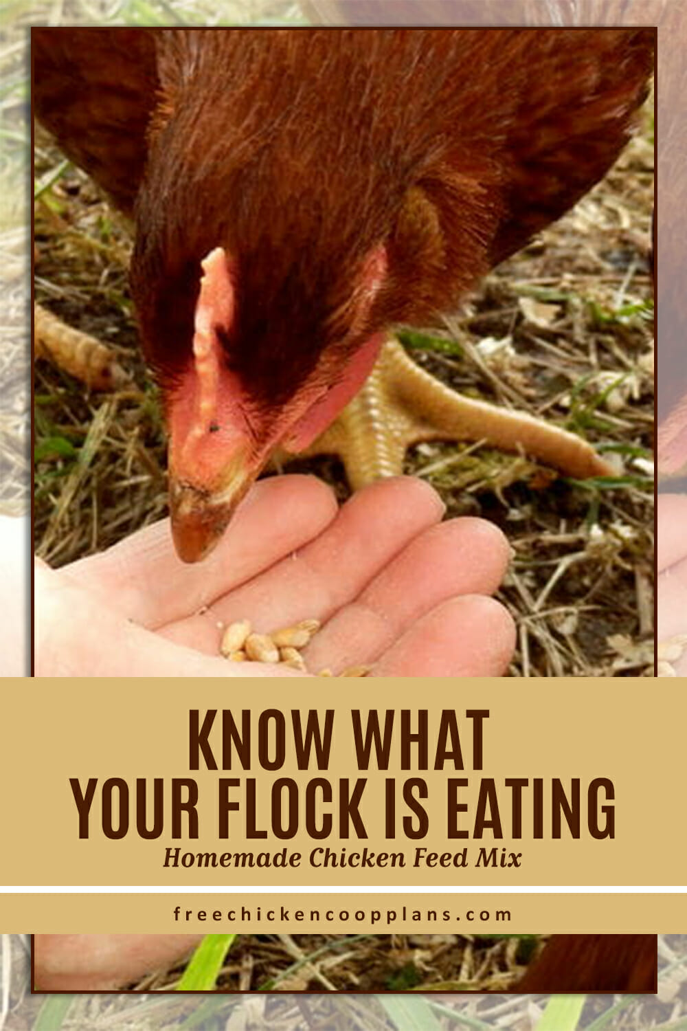 Homemade Chicken Feed Mix – Know What Your Flock Is Eating