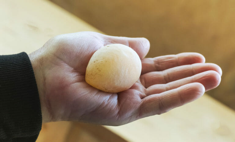 Common Chicken Egg Shell Problems And How To Fix Them