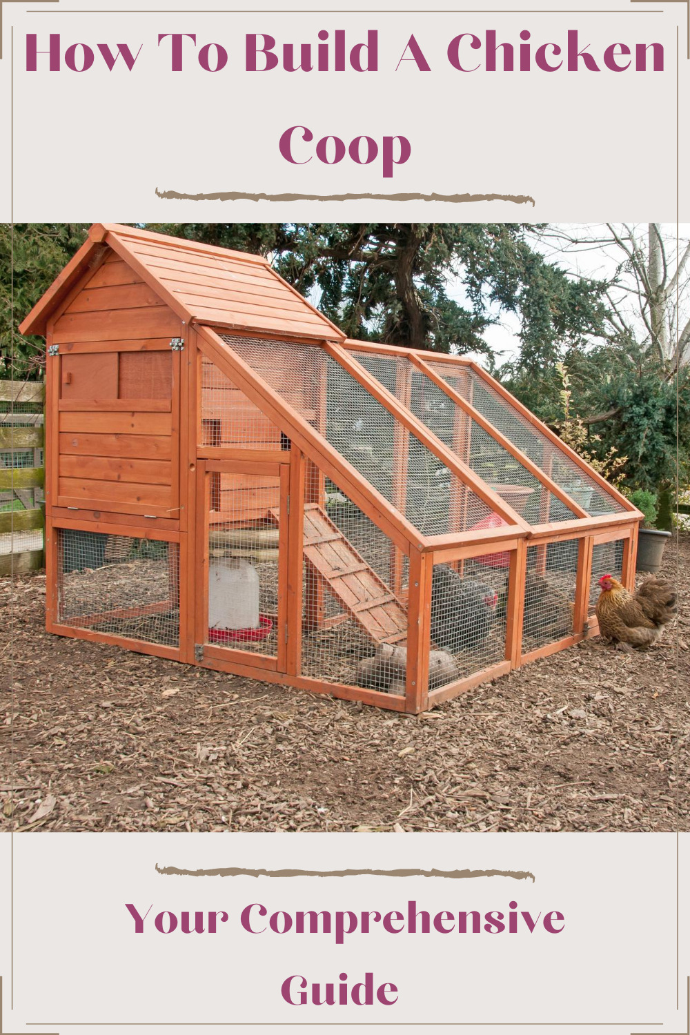 How To Build A Chicken Coop – A Comprehensive Guide