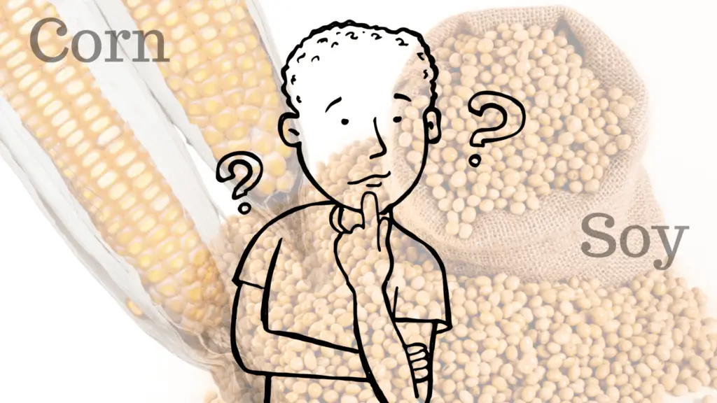 Homemade Chicken Scratch Recipe – The Perfect Mix For Your Flock