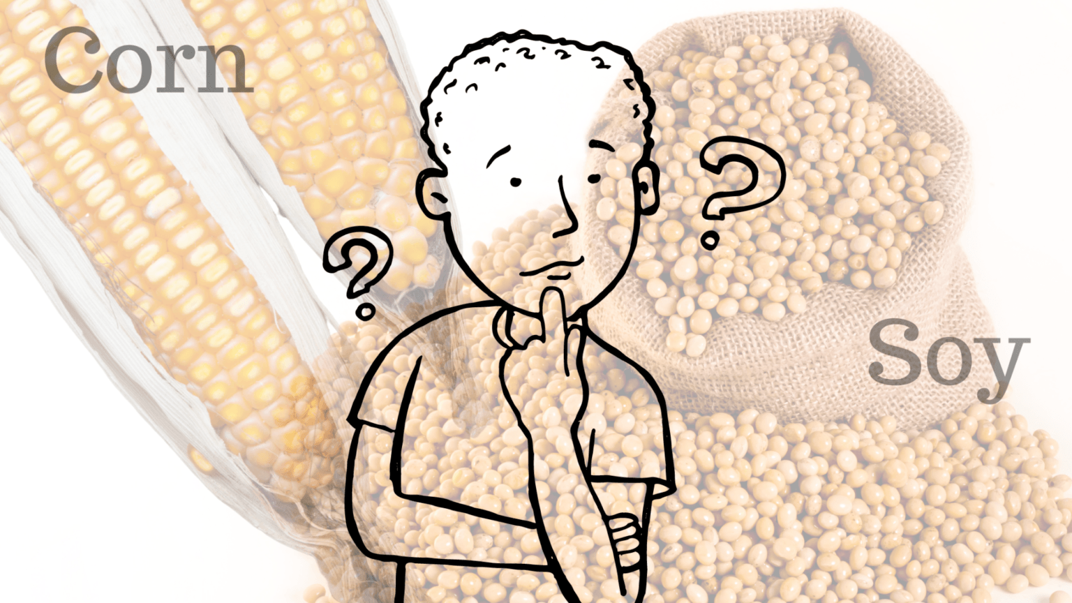 Homemade Chicken Scratch Recipe – The Perfect Mix For Your Flock