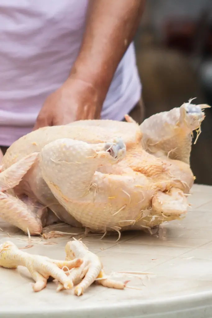 Best Way To Pluck Chickens – And Other Top Methods Too